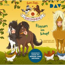 Die Haferhorde 01: Flausen im Schopf