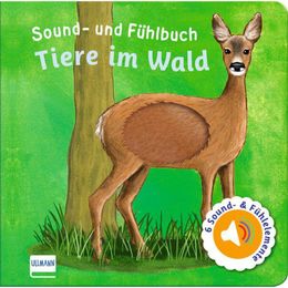 Sound- und F&uuml;hlbuch Tiere im Wald (mit 6 Sound- und F&uuml;hlelementen)