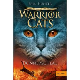 Warrior Cats Staffel 5/02 Der Ursprung der Clans. Donnerschlag