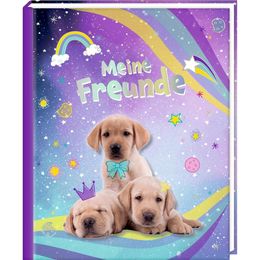 Coppenrath Freundebuch - Meine Freunde