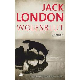 dtv Verlagsgesellschaft Wolfsblut