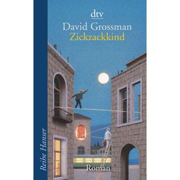 dtv Verlagsgesellschaft Zickzackkind