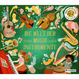 Die Welt der Musikinstrumente