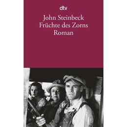 dtv Verlagsgesellschaft Fr&uuml;chte des Zorns