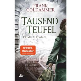 dtv Verlagsgesellschaft Tausend Teufel
