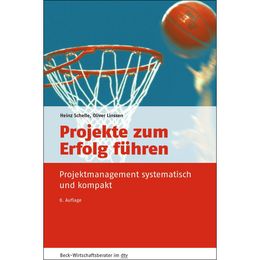 dtv Verlagsgesellschaft Projekte zum Erfolg f&uuml;hren