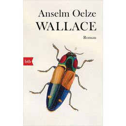 btb Verlag Wallace