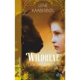 dtv Verlagsgesellschaft Wildhexe 06