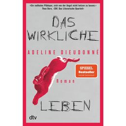dtv Verlagsgesellschaft Das wirkliche Leben