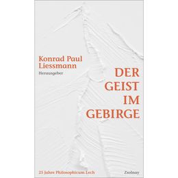Der Geist im Gebirge