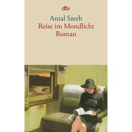 dtv Verlagsgesellschaft Reise im Mondlicht