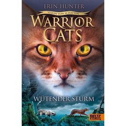 Warrior Cats Staffel 6/06 - Vision von Schatten. W&uuml;tender Sturm