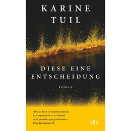 dtv Verlagsgesellschaft Diese eine Entscheidung