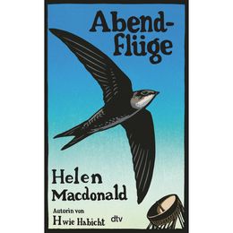 dtv Verlagsgesellschaft Abendfl&uuml;ge