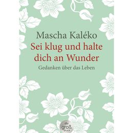dtv Verlagsgesellschaft Sei klug und halte dich an Wunder