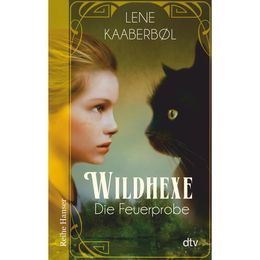 dtv Verlagsgesellschaft Wildhexe - Die Feuerprobe