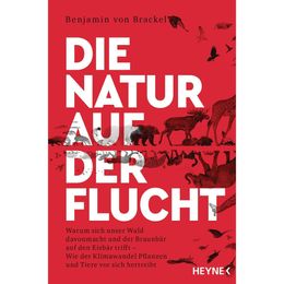 Die Natur auf der Flucht