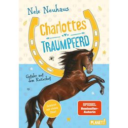 Charlottes Traumpferd 2: Gefahr auf dem Reiterhof
