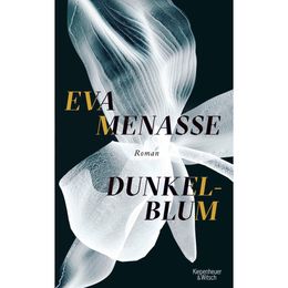 Dunkelblum