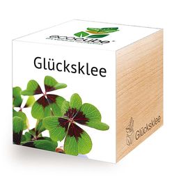 Gl&uuml;cksklee im Holzw&uuml;rfel