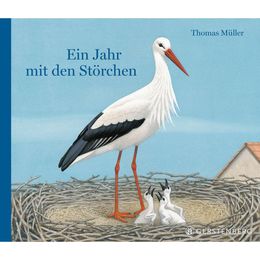 GERSTENBERG Ein Jahr mit den St&ouml;rchen