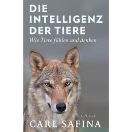 Die Intelligenz der Tiere