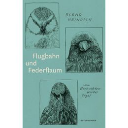 Flugbahn und Federflaum