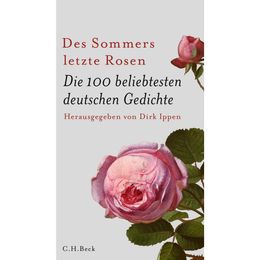 Des Sommers letzte Rosen