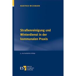Stra&szlig;enreinigung und Winterdienst in der kommunalen Praxis