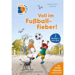 Leseprofis - Voll im Fu&szlig;ballfieber!, 1. Klasse (Doppelband)