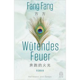 W&uuml;tendes Feuer