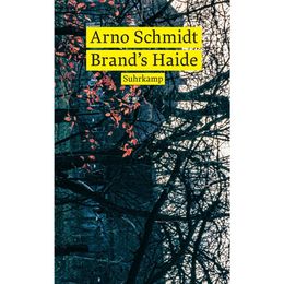 Brand's Haide