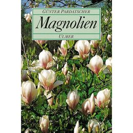 Magnolien