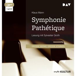 Symphonie Path&eacute;tique. Ein Tschaikowsky-Roman