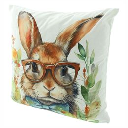 Kissenh&uuml;lle &raquo;Professor Hase&laquo;