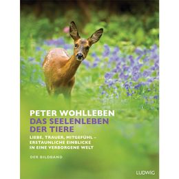 Das Seelenleben der Tiere