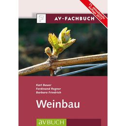 Weinbau