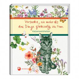 Versuche, nie mehr als drei Dinge gleichzeitig zu tun