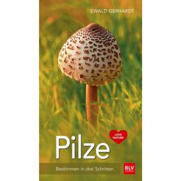 BLV Pilze