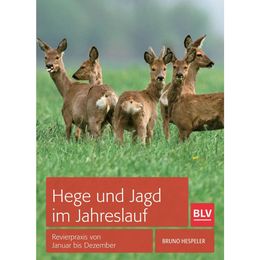 BLV Hege und Jagd im Jahreslauf