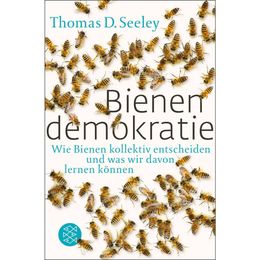 Fischer Bienendemokratie