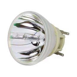 Beamerlampe (nur Leuchtmittel) f&uuml;r BENQ (ersetzt: 5J.JGT05.001)
