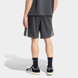 Herren Shorts "ORIGINALS SANTIAGO", grau, Gr. M, adidas originals, Obermaterial: 100% Polyester, Hosen
