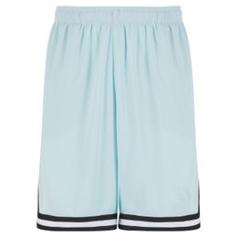 Karl Kani Herren Shorts "Karl Kani Small Signature Essential Mesh Shorts"lightblau, Gr. L, 100% Polyester, Hosen