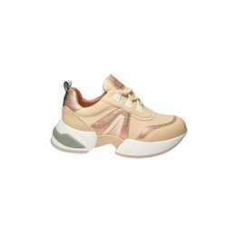 ALEXANDER SMITH Sneaker low Damen Gr&ouml;&szlig;e 39 beige