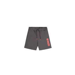 Alpha Industries Herren Shorts &raquo;Alpha Puff Print Short&laquo; grau L, Normalgr&ouml;&szlig;en