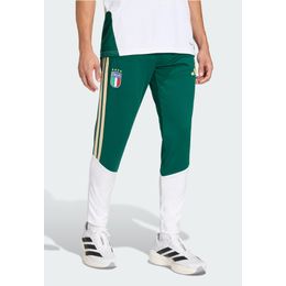 adidas Performance Sporthose 'Italien 26 Tiro' Herren Gr&ouml;&szlig;e M hellgelb / gr&uuml;n / wei&szlig;