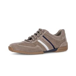 Gabor Herren Sneaker &raquo;Sneaker low&laquo; 46