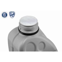 VAICO Wasserpumpe + Zahnriemensatz V10-50114-XXL mit Dichtung f&uuml;r SKODA VW SEAT AUDI 05E121111AB 05E121111P 05E121111Q