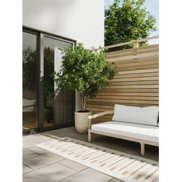 benuta Basic In- & Outdoor-Teppich Kaleo Cream/Beige 70x200 cm - Teppich f&uuml;r Balkon, Terrasse & Garten